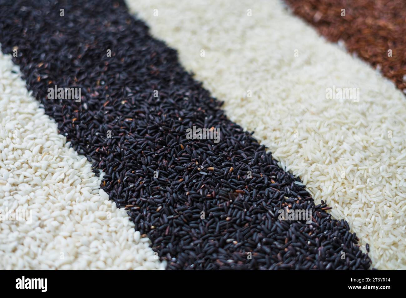 Difference types rice texture background Stock Photo - Alamy