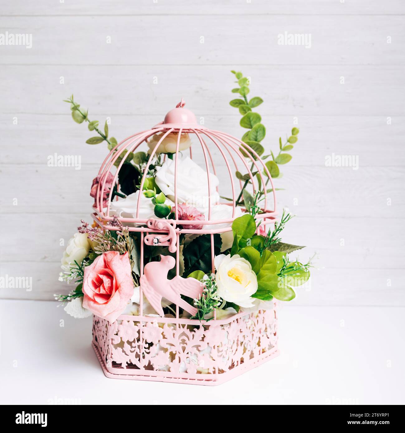 Pre modern botany hi-res stock photography and images - Alamy