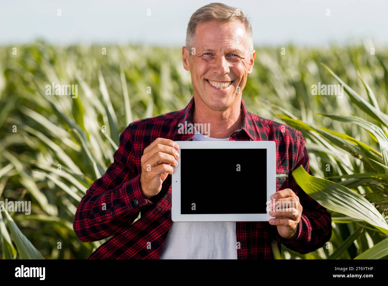 Check field hi-res stock photography and images - Alamy