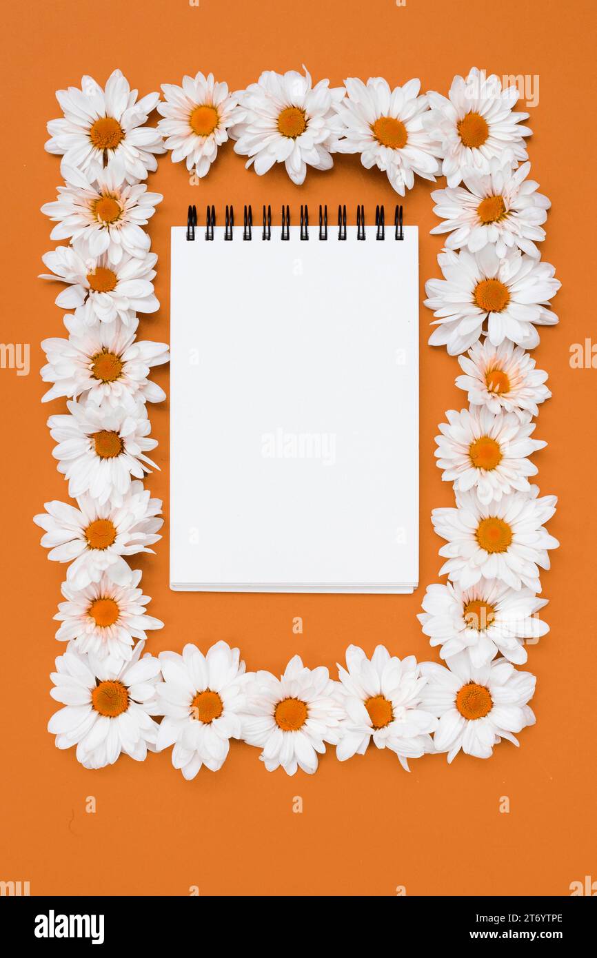 Notepad frame daisy flowers Stock Photo - Alamy