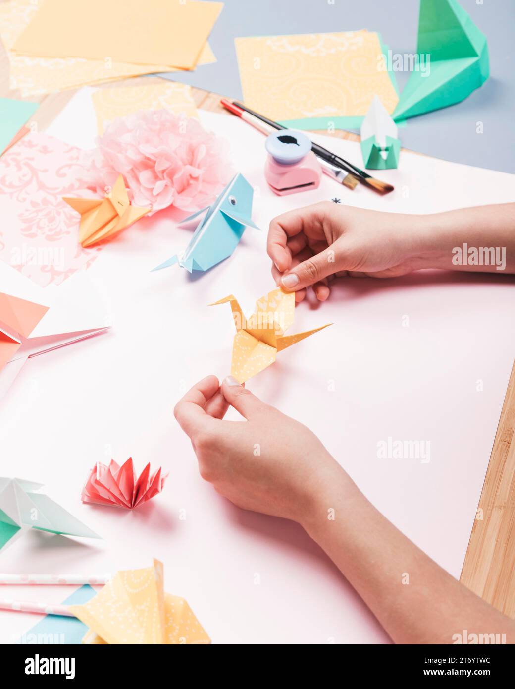 Overhead view human hand holding origami bird table Stock Photo - Alamy