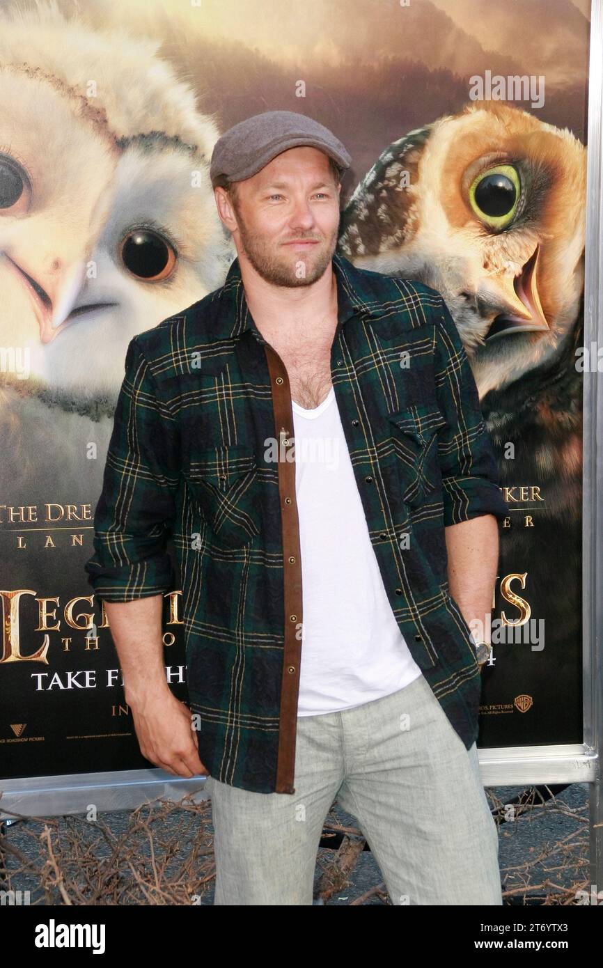 Joel Edgerton at the premiere of "Legend of the Guardians: The Owls of ...