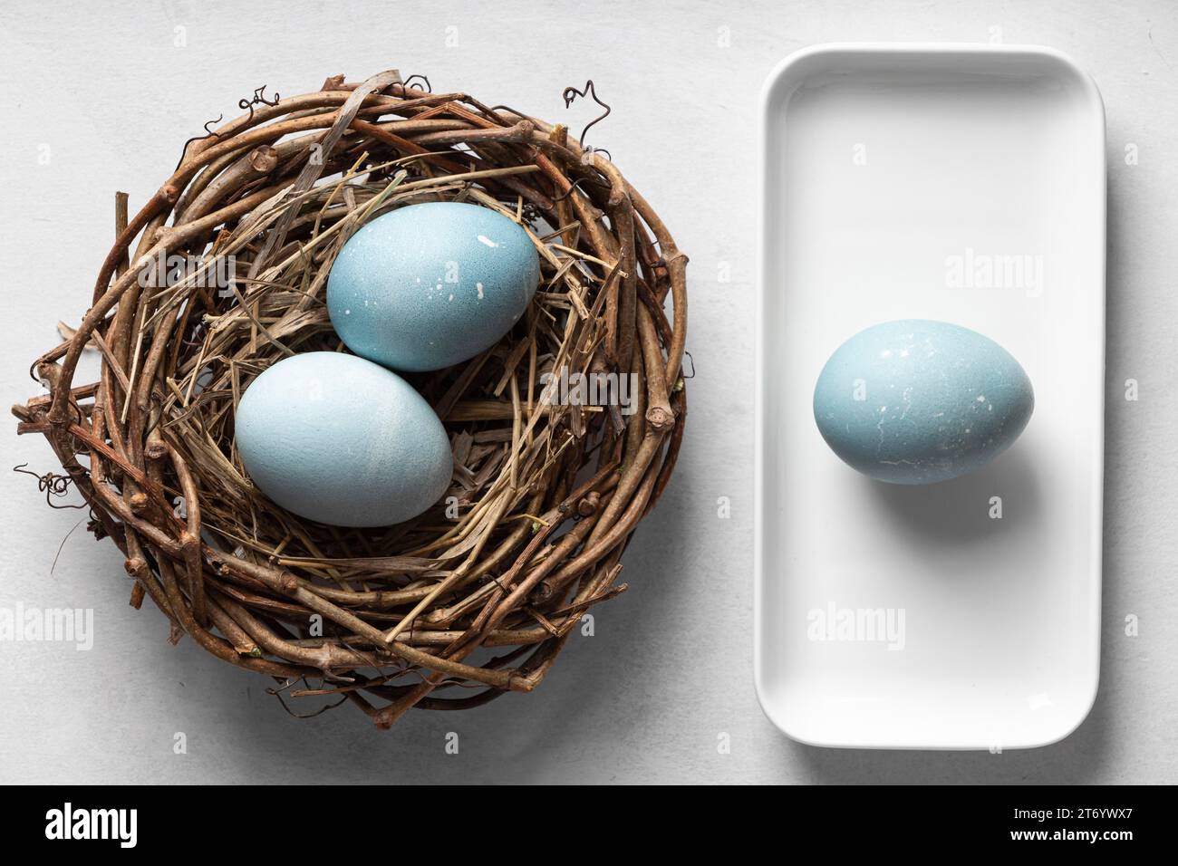 Top view eggs easter with nest made twigs plate Stock Photo - Alamy
