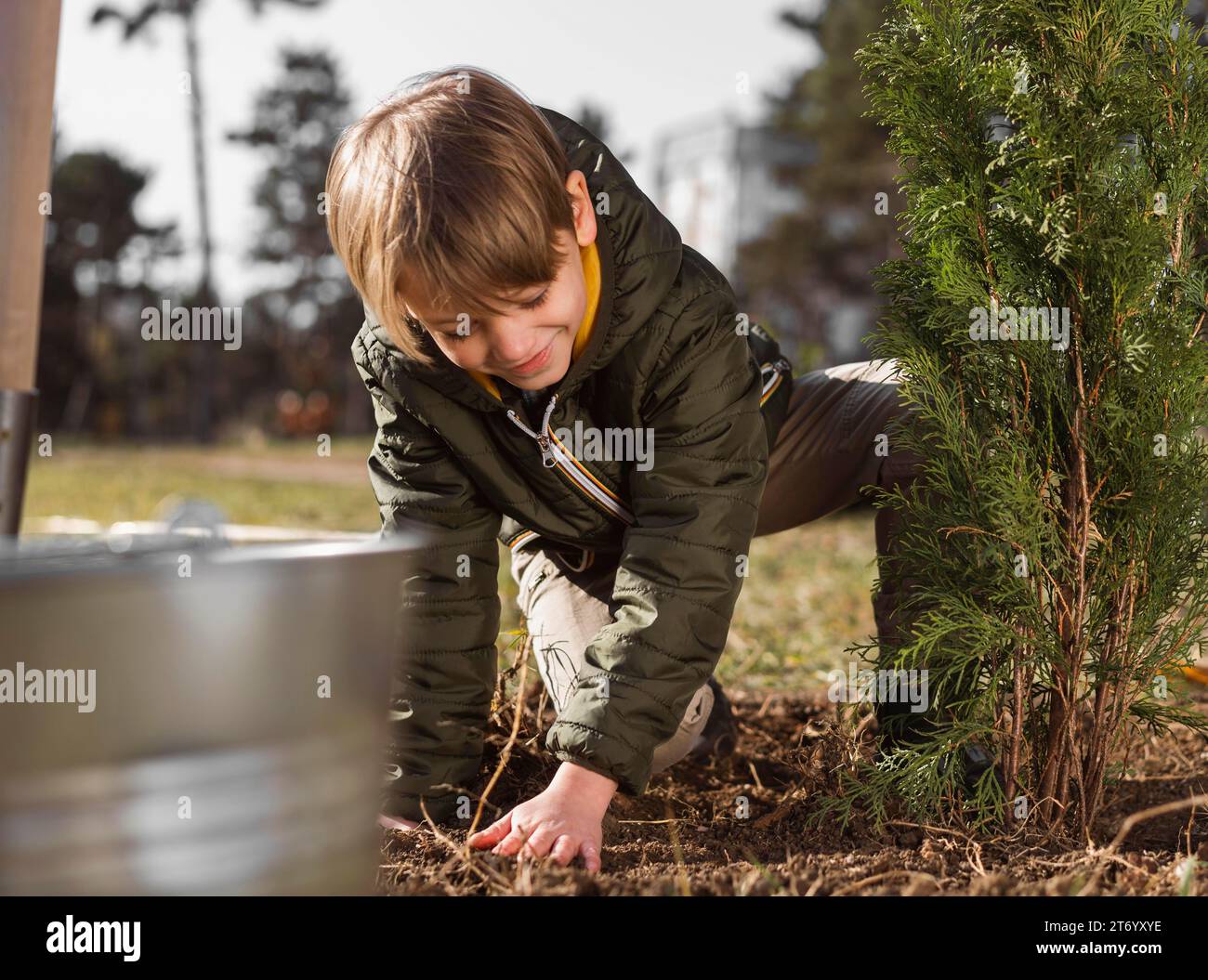 Young boy planting tree outside Stock Photo - Alamy
