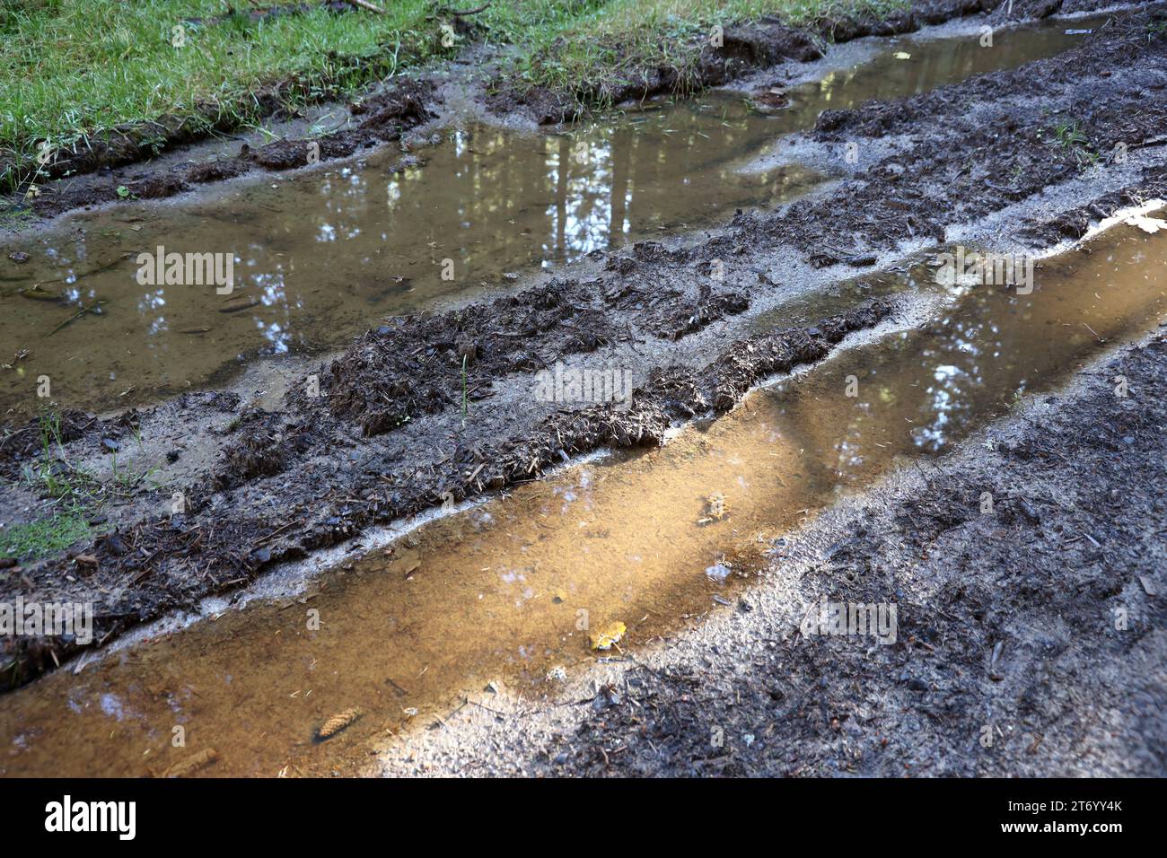 Muddy tracks with puddles on wet muddy surface in forest path close up ...