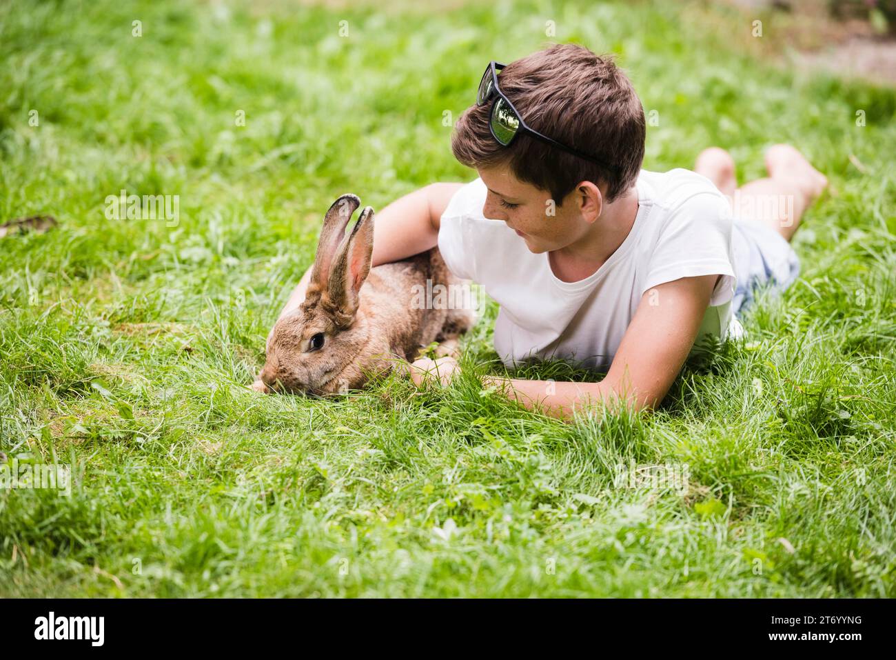 Pet rabbit and boy hi-res stock photography and images - Alamy