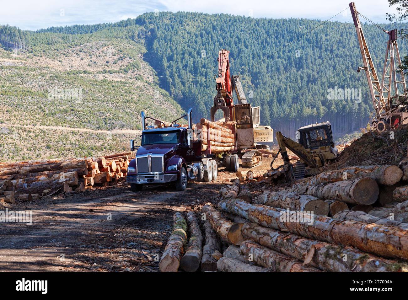 Loader hi-res stock photography and images - Alamy