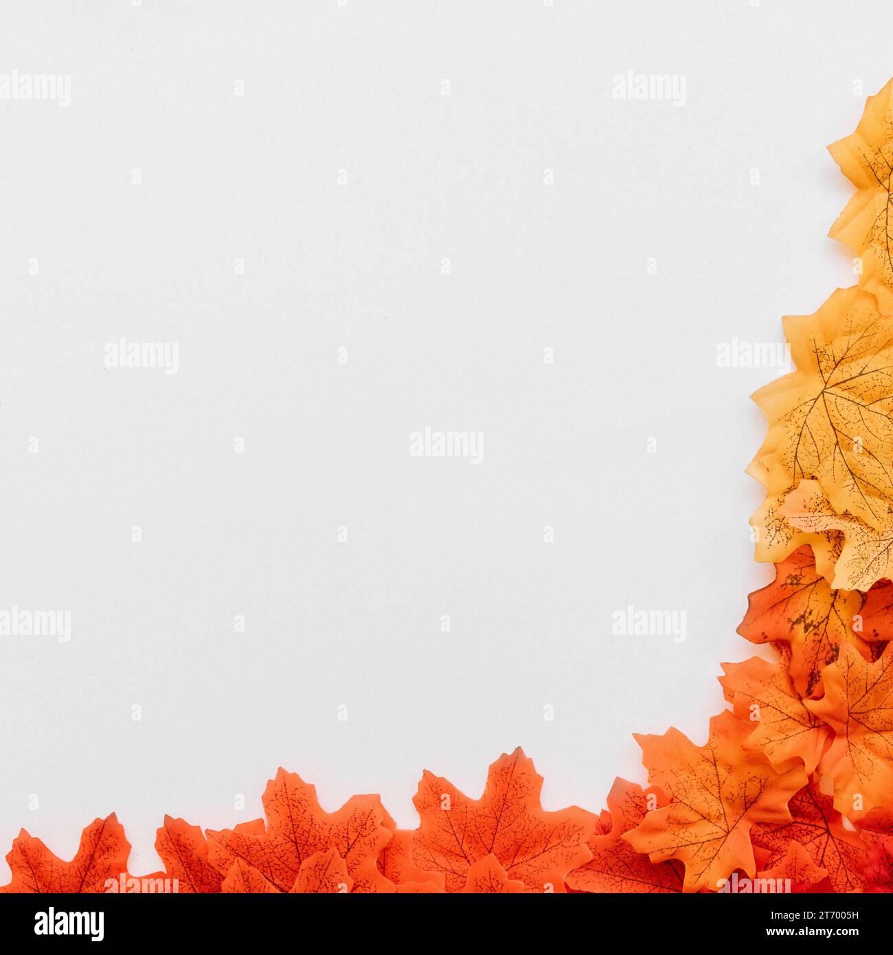 Corner maple autumn leaves Stock Photo - Alamy