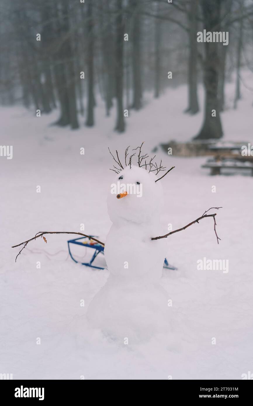Snowman with stick hair and a carrot nose stands near a sled in a snowy ...