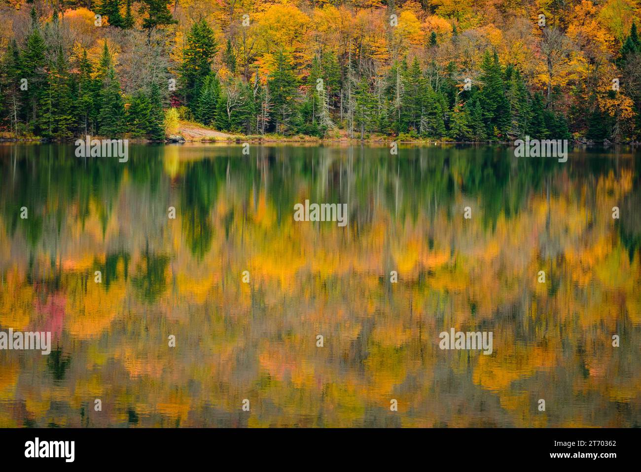 Fall colors reflecting on a pond Stock Photo - Alamy