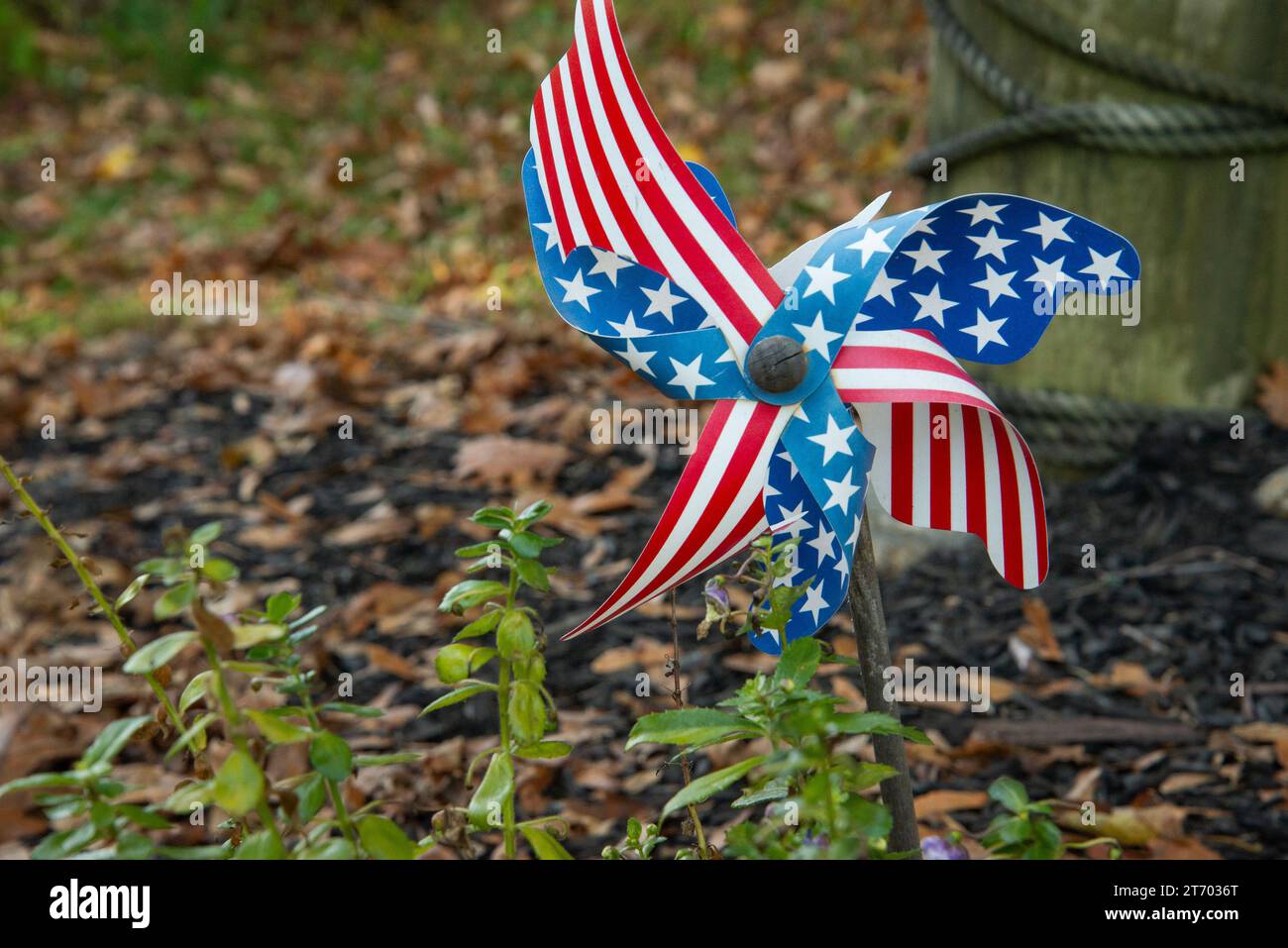 An American pinwheel Stock Photo - Alamy