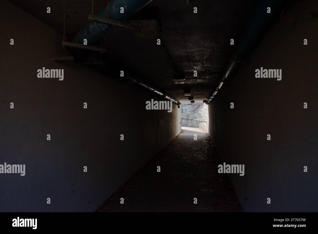A tunnel in pathway Stock Photo - Alamy