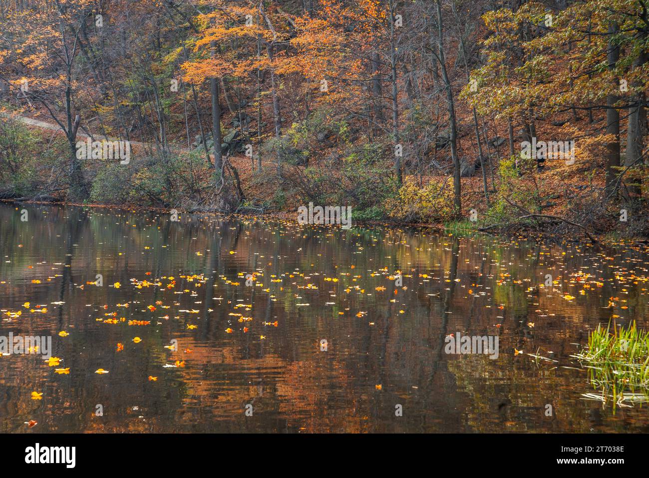 Different angles of the Bear mountain state park Stock Photo - Alamy