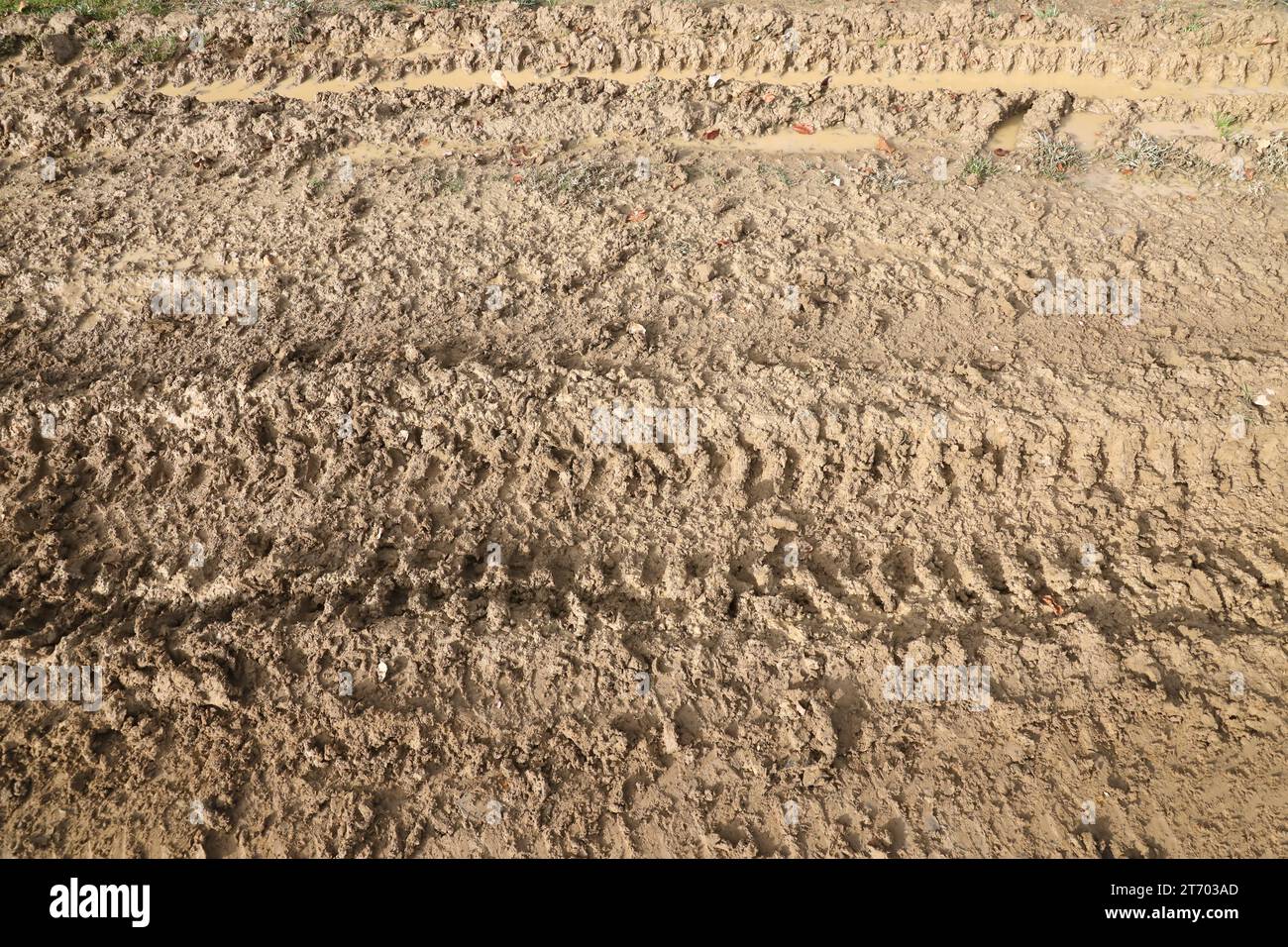 Wheel track on mud. Traces of a tractor or heavy off-road car on brown ...