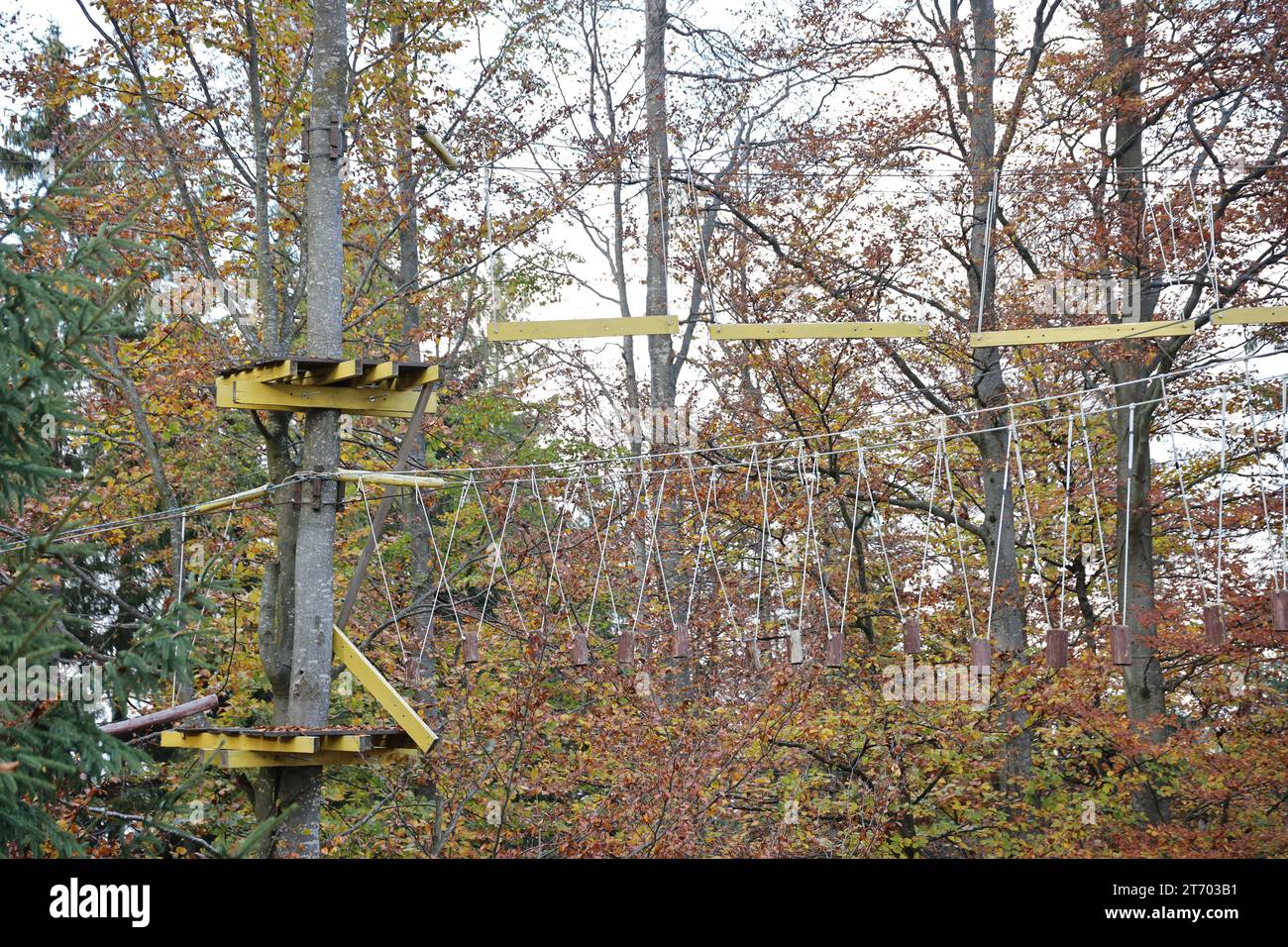 Baumklettern hi-res stock photography and images - Alamy