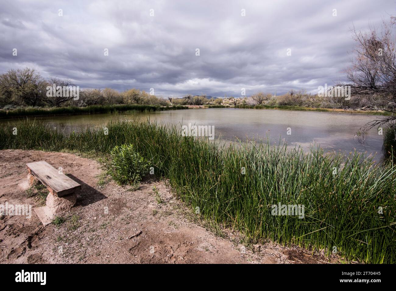 Quitobaquito Spring, a large water oasis north of international border ...