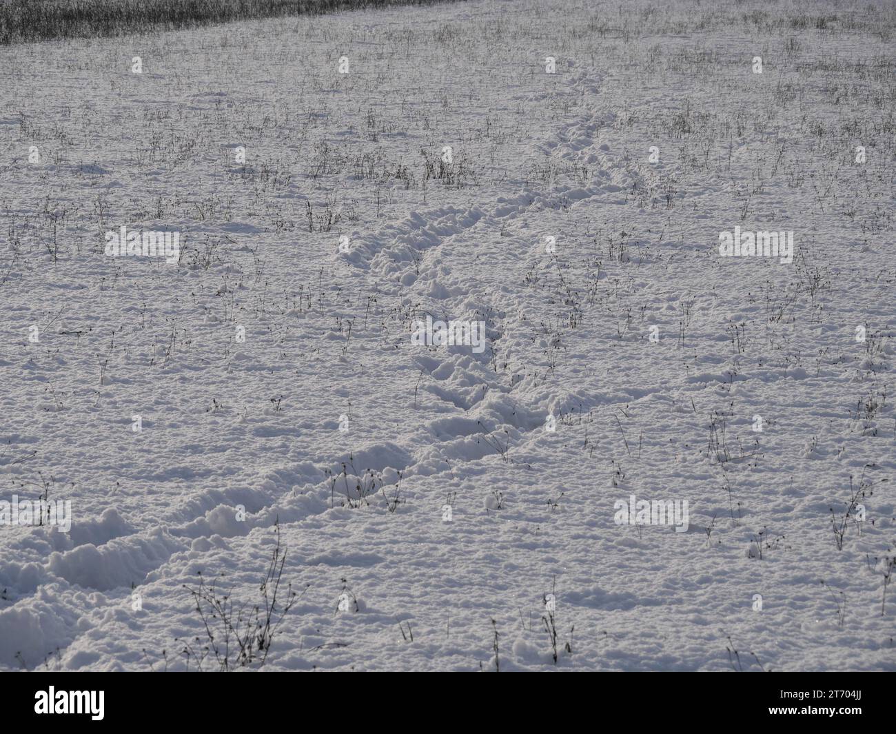 Tracks of a walker in the snow in winter Stock Photo - Alamy