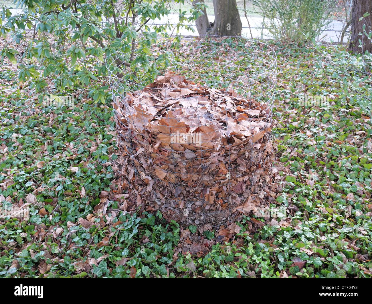 Dry leaves in a wire basket for composting and as a biotope for animals ...