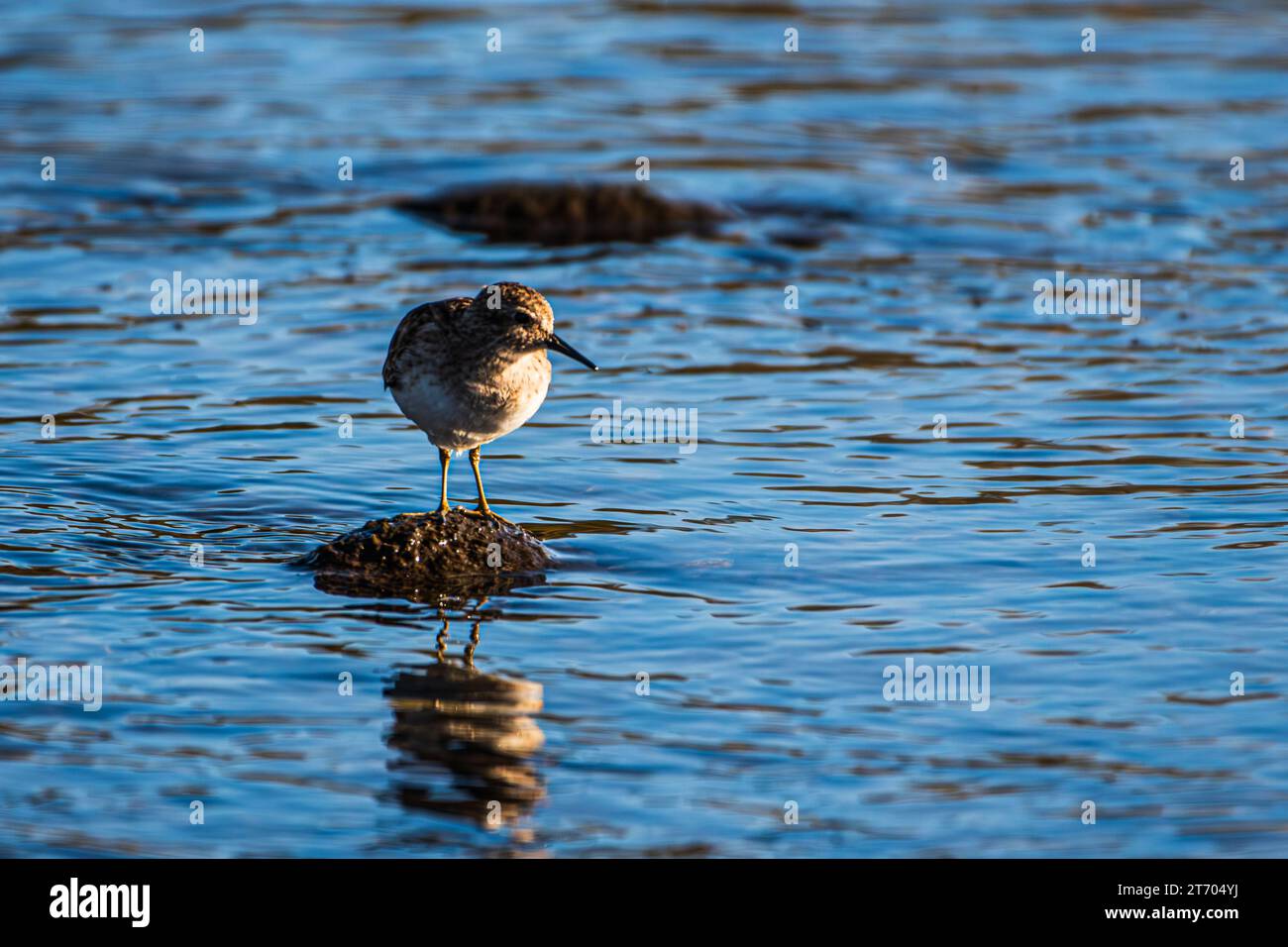 Keeping up earth hi-res stock photography and images - Alamy