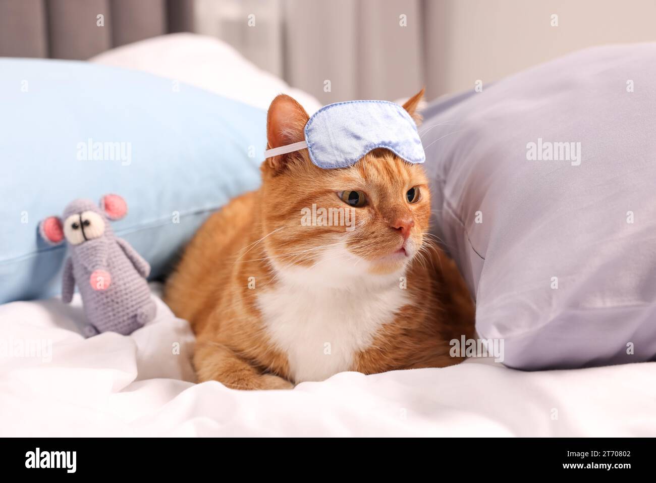 Cute ginger cat with sleep mask and crocheted mouse resting on bed ...