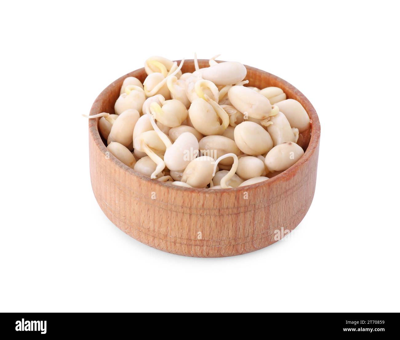 Germination of beans Cut Out Stock Images & Pictures - Alamy