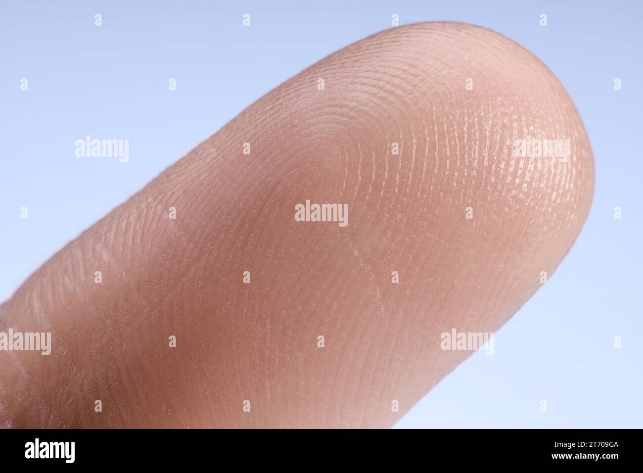 Finger with friction ridges on light blue background, macro view Stock ...