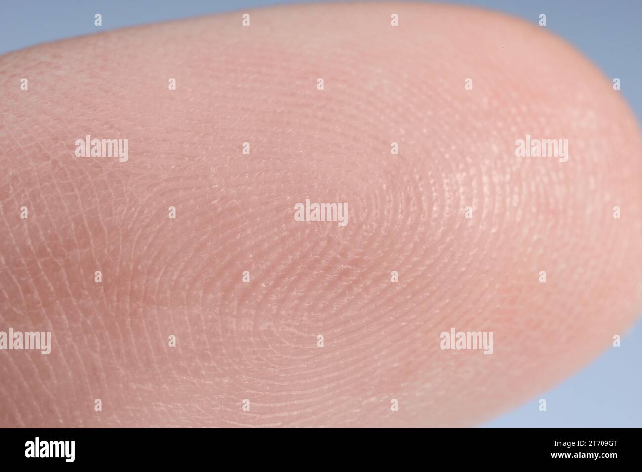 Friction ridges hi-res stock photography and images - Alamy