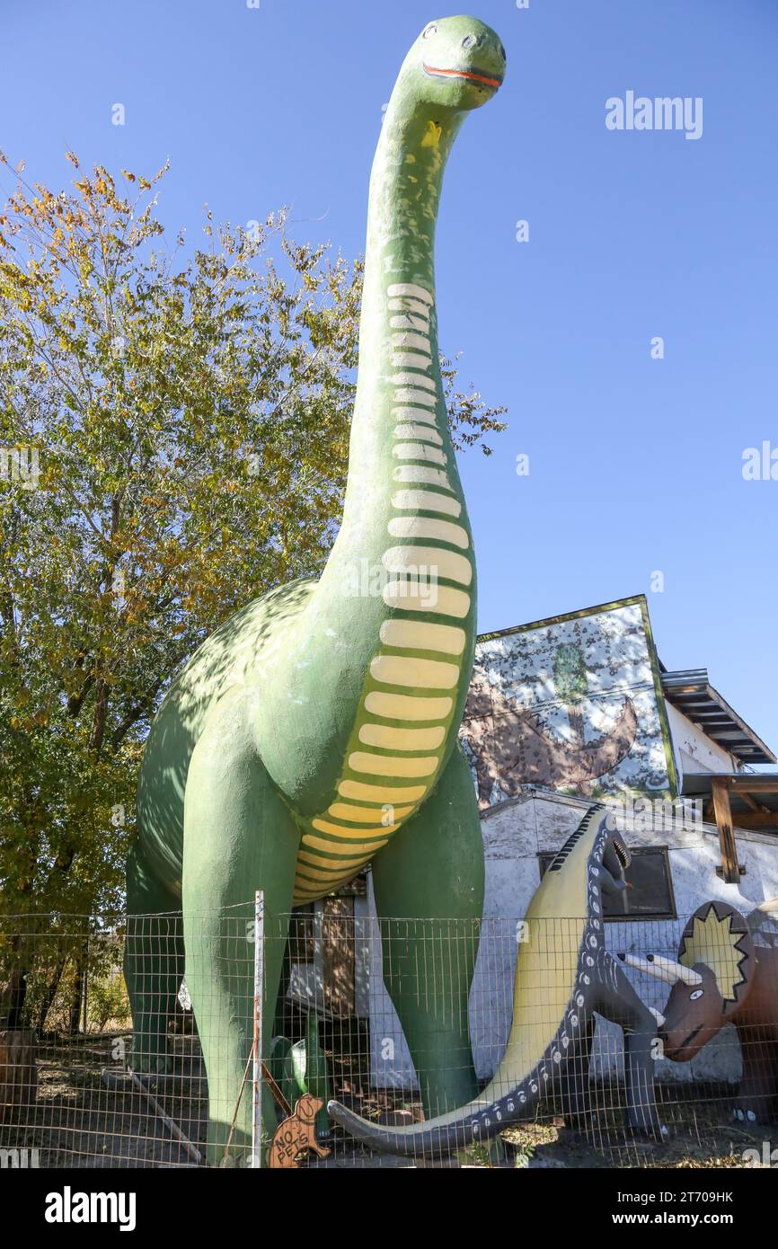 Holbrook dinosaurs hi-res stock photography and images - Alamy