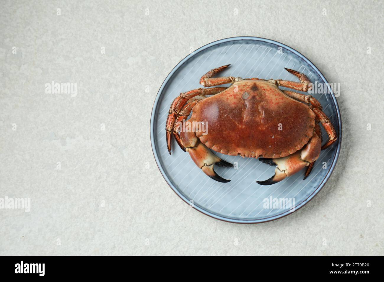 Delicious boiled crab on white textured table, top view. Space for text ...