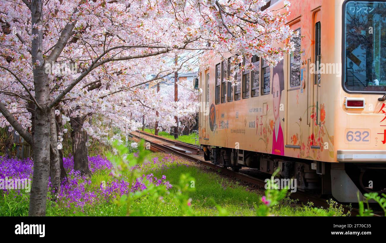 Kyoto, Japan - March 31 2023: Keifuku Tram is operated by Keifuku ...