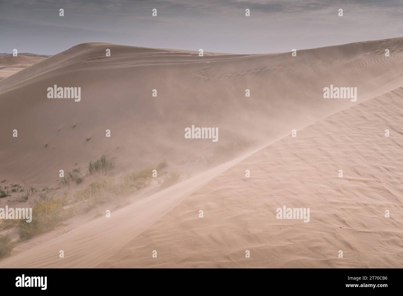 Tengger desert scenery, Inner Mongolia, China. The windy weather with ...