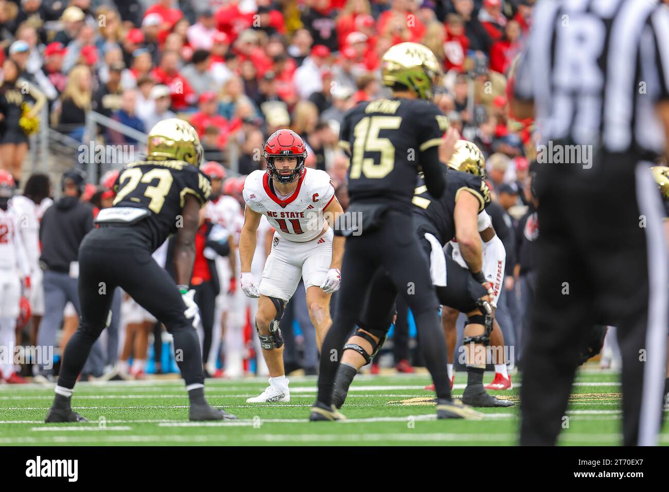 November 11,2023: NC State senior Payton Wilson (11) eyes quarterback ...