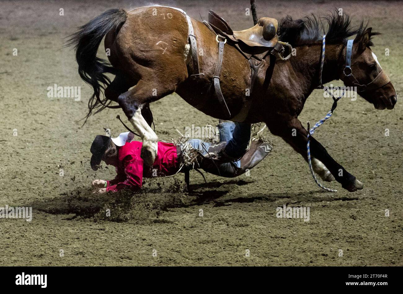 Xinhua peter hi-res stock photography and images - Alamy