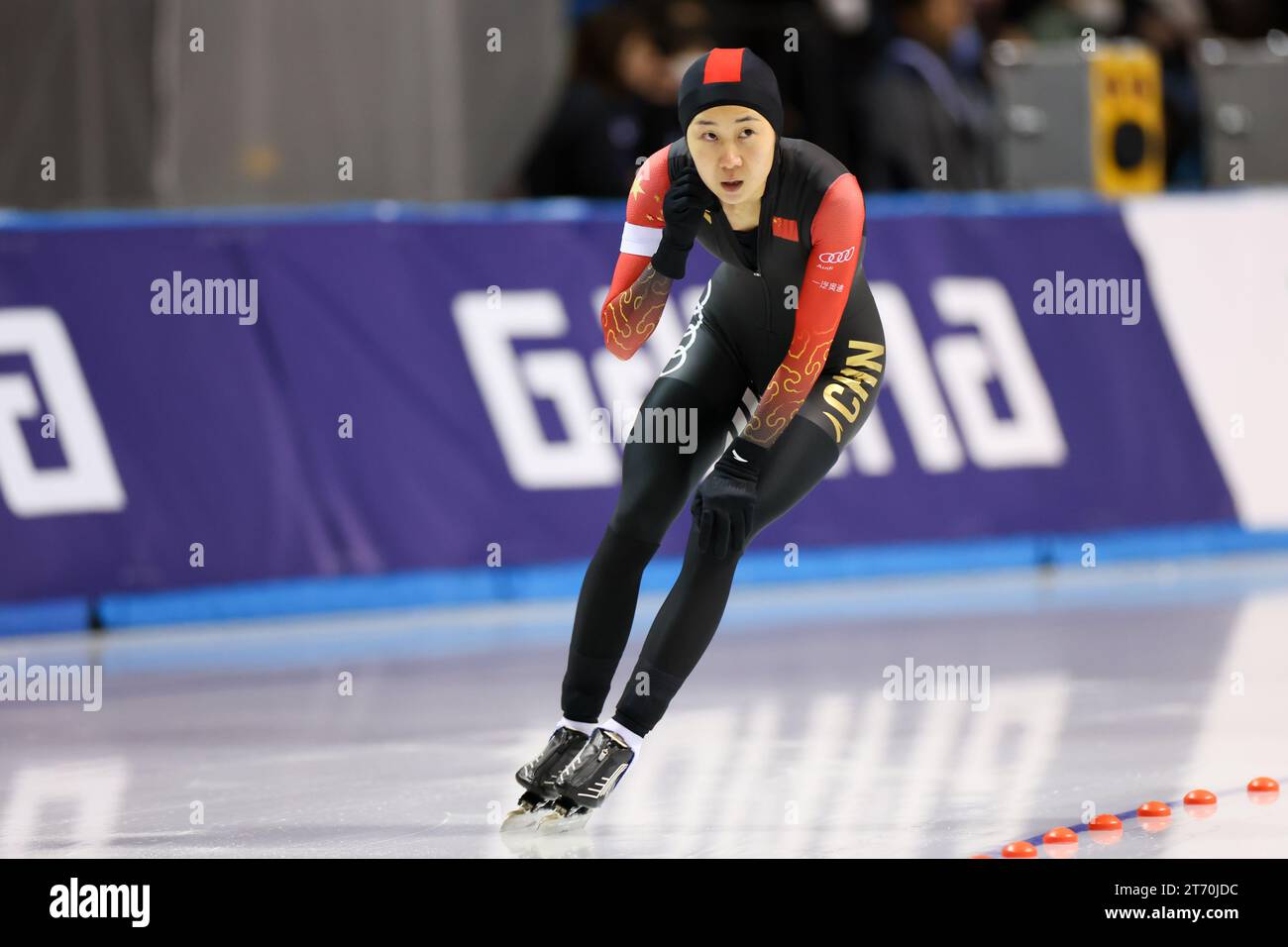 Chong pei hi-res stock photography and images - Alamy