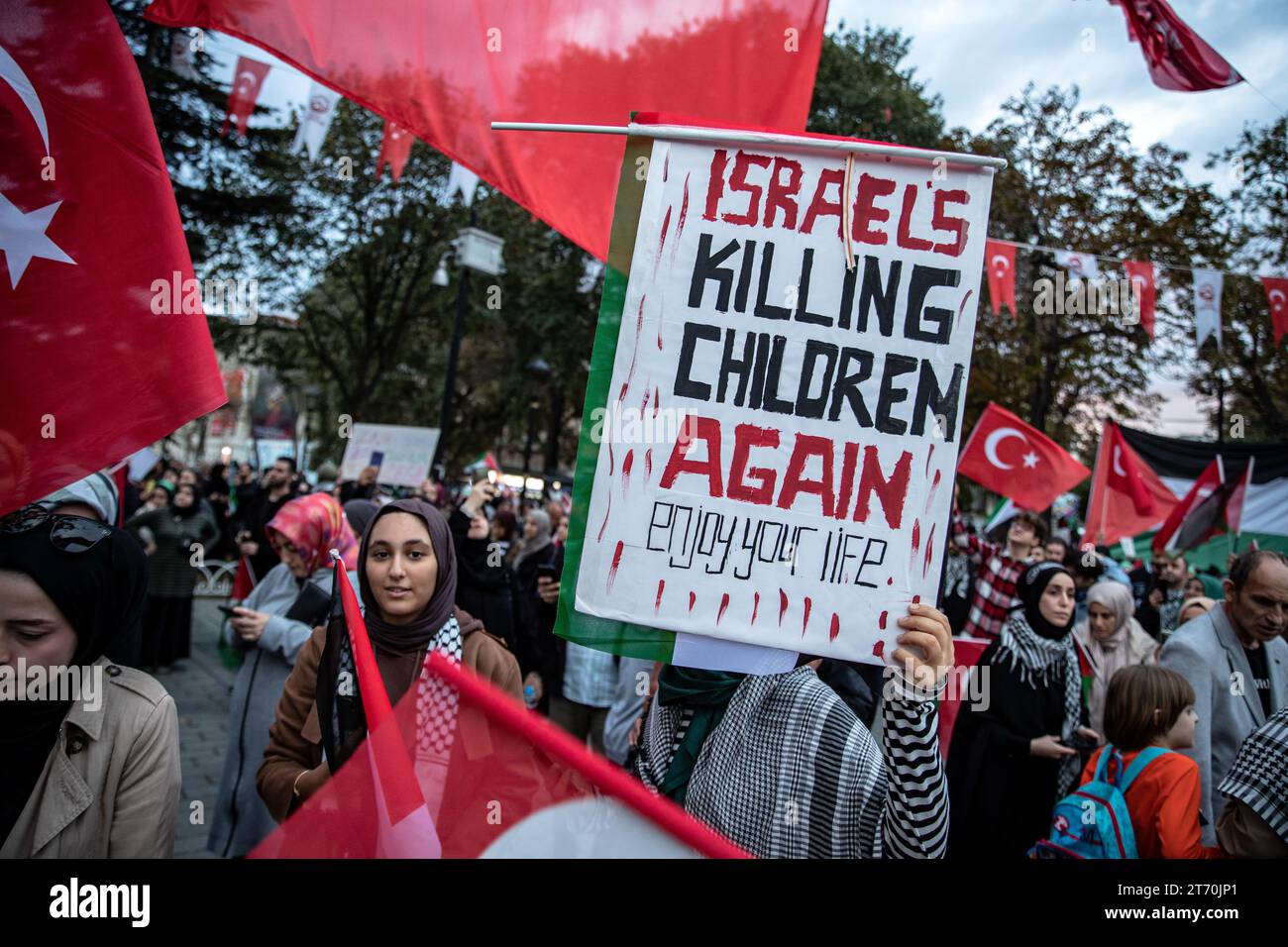 Istanbul, Turkey. 12th Nov, 2023. Palestinian supporters were seen ...