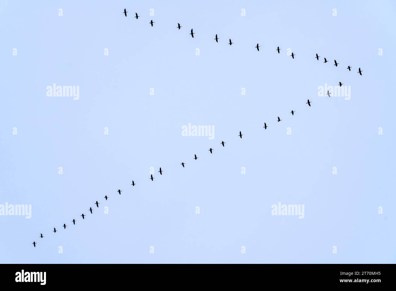 Bavaria siberia hi-res stock photography and images - Alamy