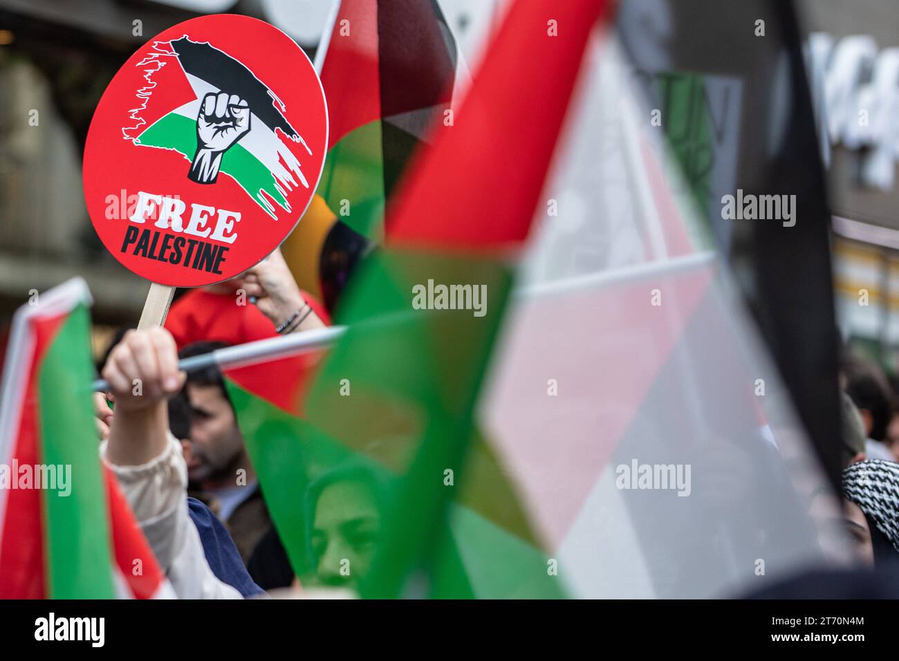 A protester was seen holding a banner reading "free Palestine" among ...