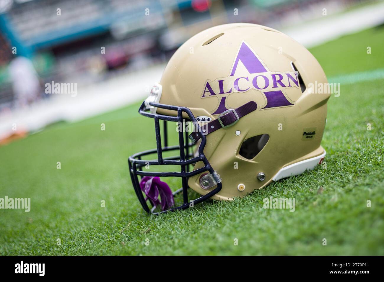 Shell energy stadium hi-res stock photography and images - Alamy