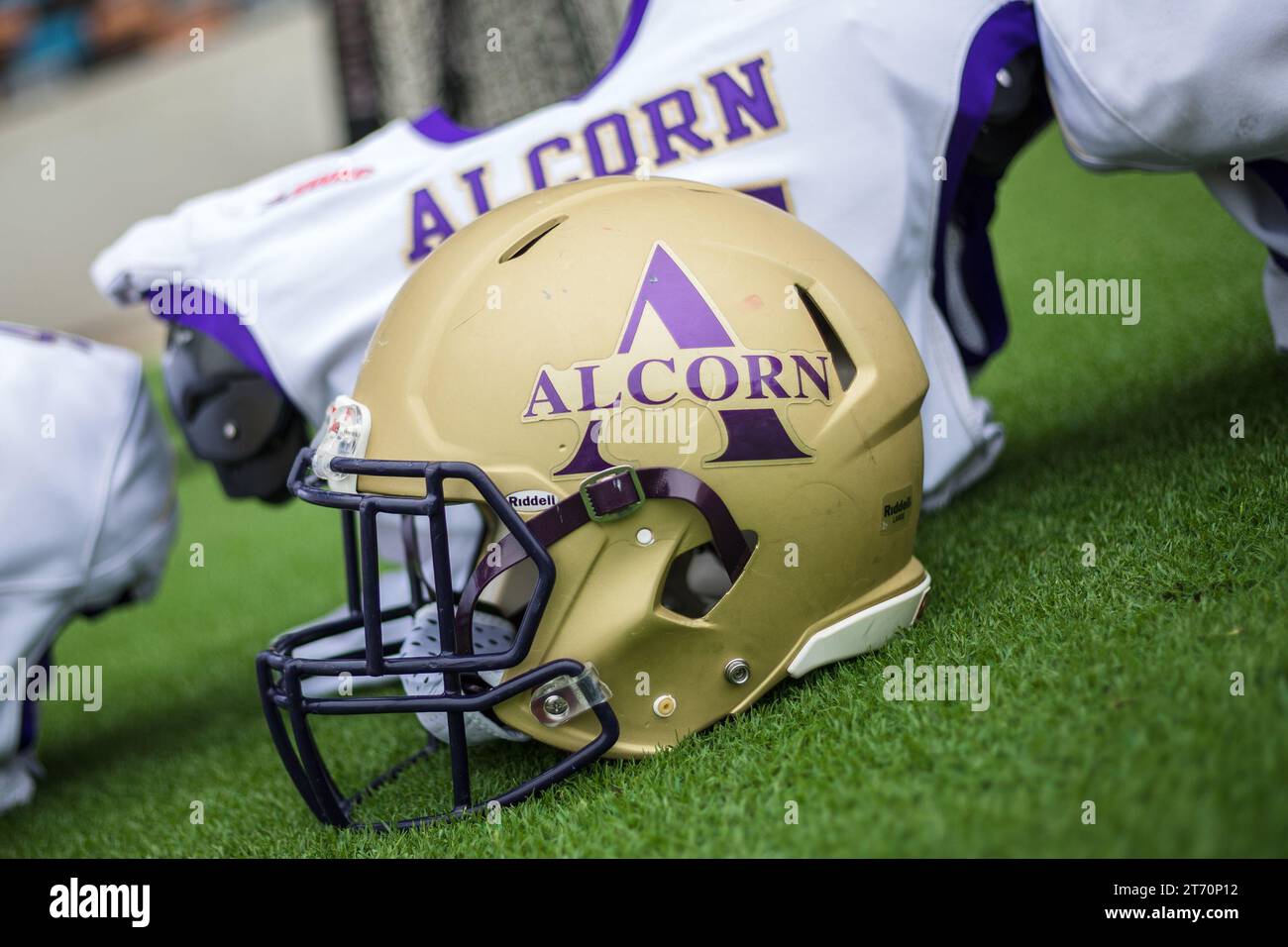 Shell energy stadium hi-res stock photography and images - Alamy