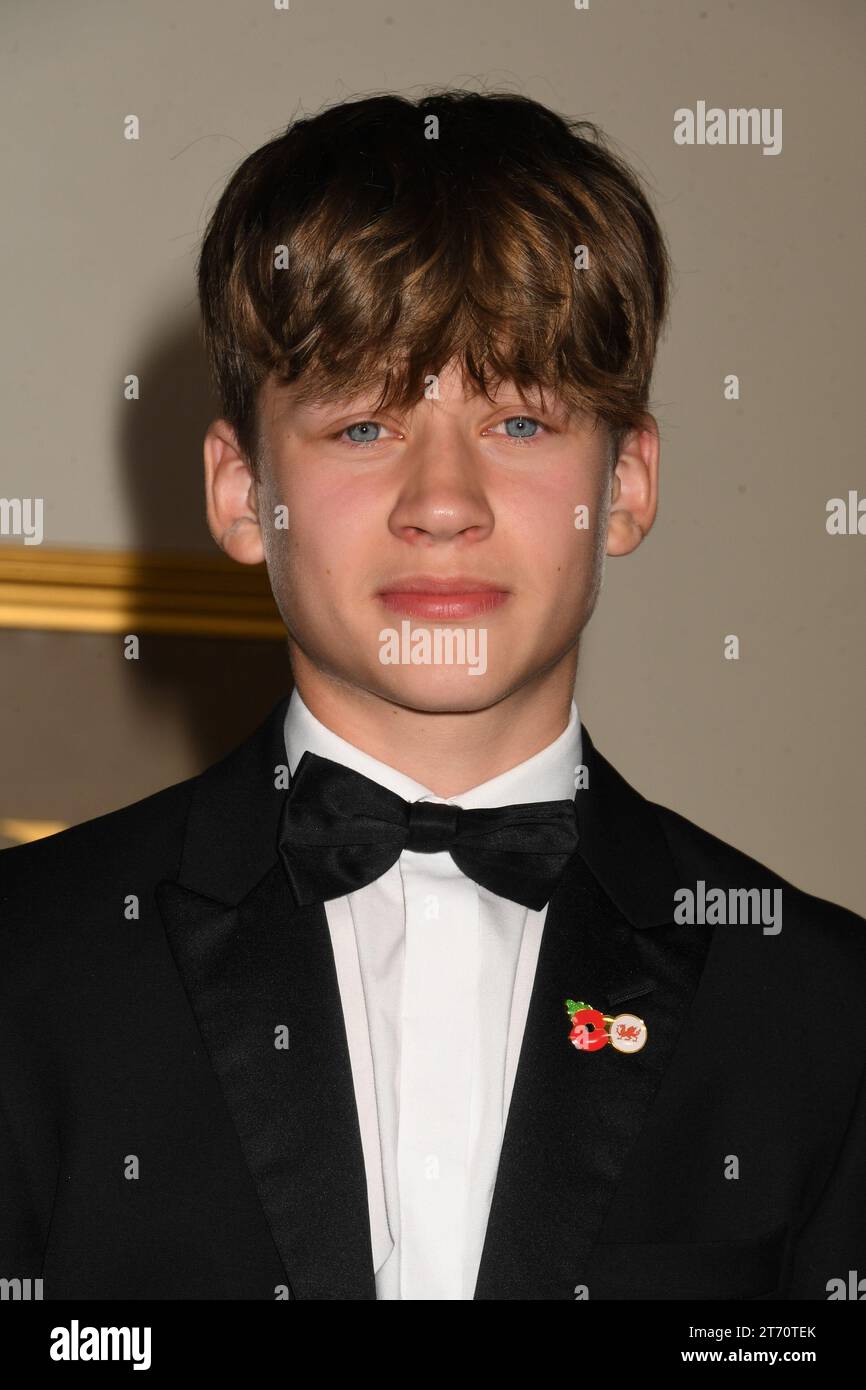 LOS ANGELES, CA -NOVEMBER 11: Fflyn Edwards at Netflix' The Crown ...