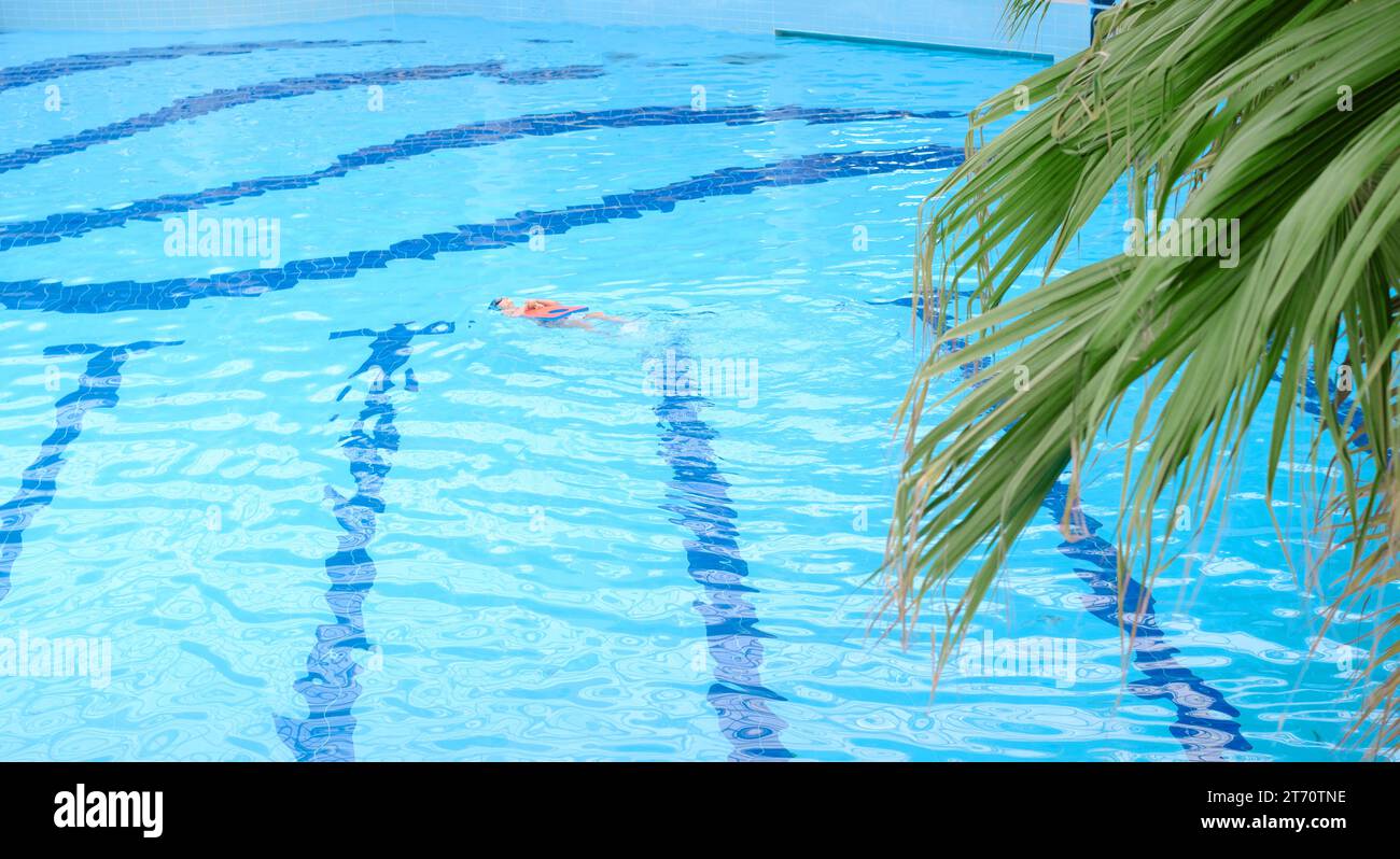 Big indoor swimming pool with little person in it, palm tree in front ...