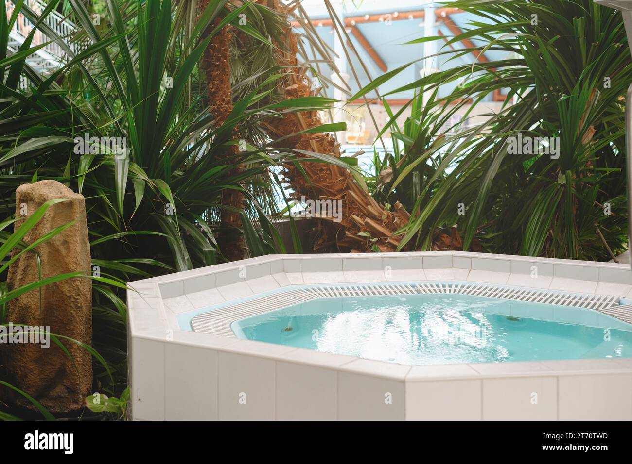 Jacuzzi in aqua park with palm trees on background. Indoor water park ...