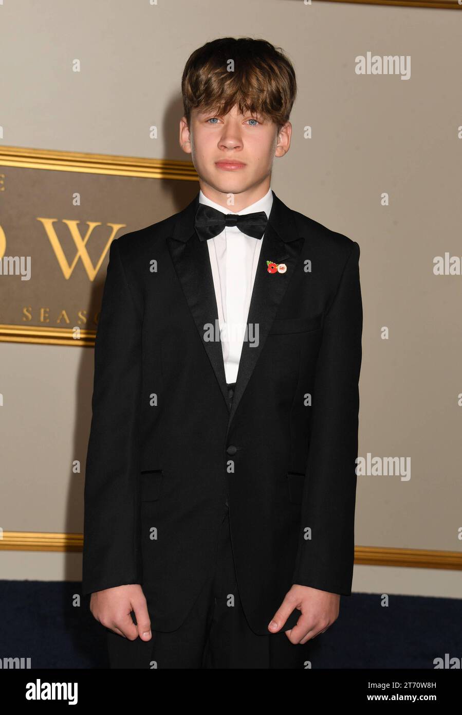 LOS ANGELES, CA -NOVEMBER 11: Fflyn Edwards at Netflix The Crown Season ...