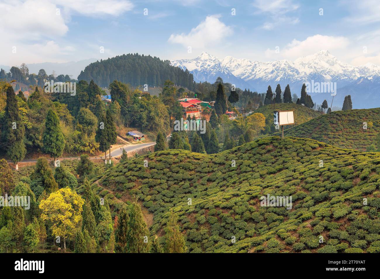 Scenic hilly landscape with view of tea plantations on the mountain ...