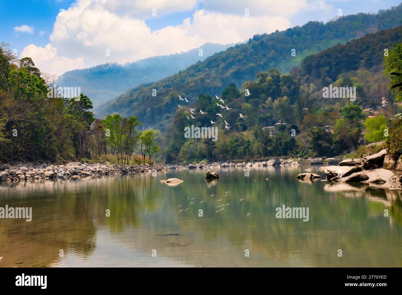 Darjeeling nature hi-res stock photography and images - Alamy