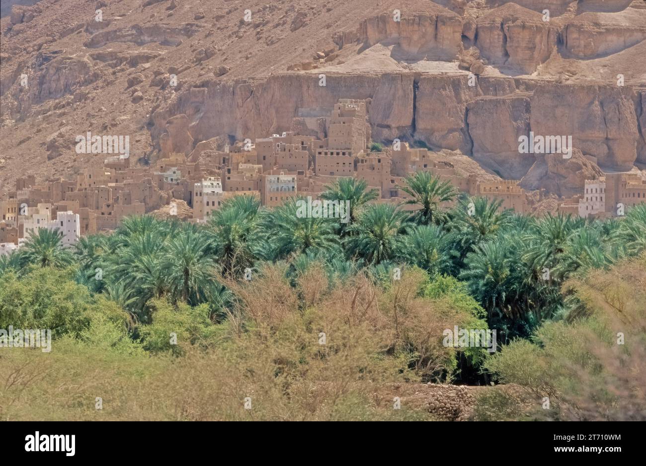 The family traces its origins to Awad bin Laden from the village of al ...