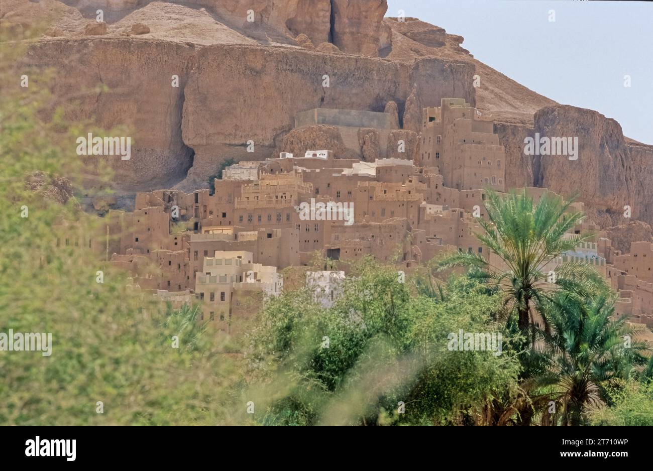 The family traces its origins to Awad bin Laden from the village of al ...