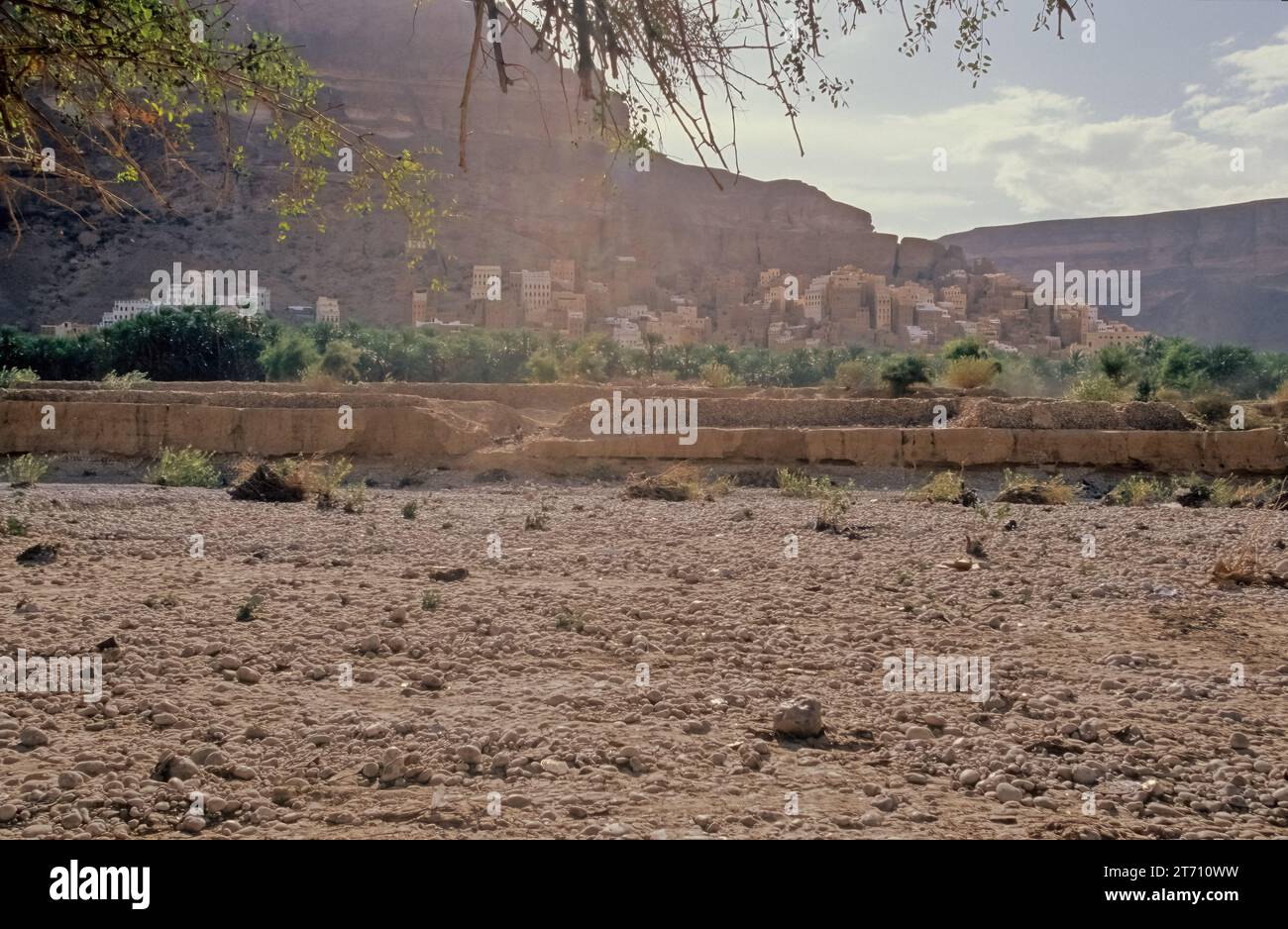 The family traces its origins to Awad bin Laden from the village of al ...