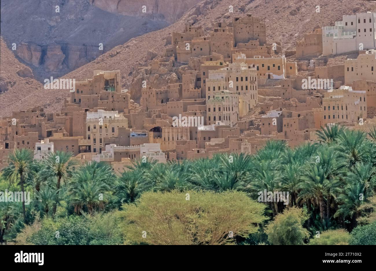 The family traces its origins to Awad bin Laden from the village of al ...