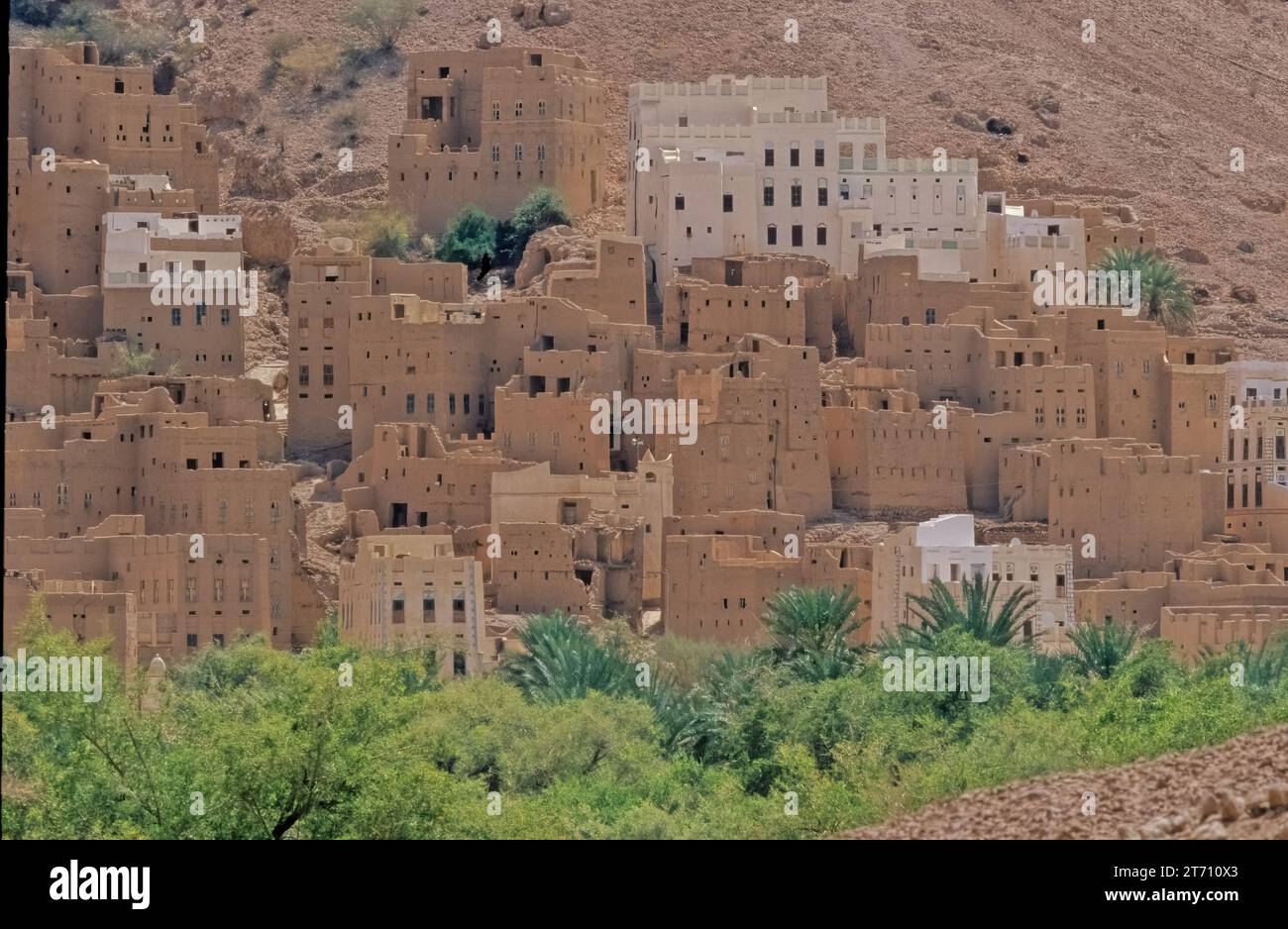 The family traces its origins to Awad bin Laden from the village of al ...